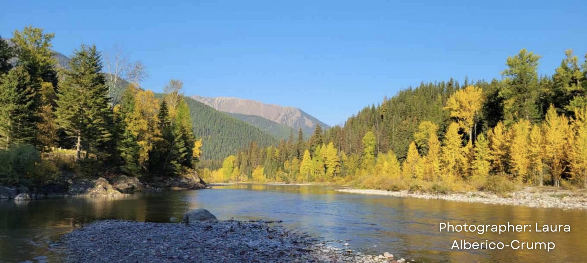 Best Deck Porch and Patio Builder in Northern Virginia | Core Outdoor